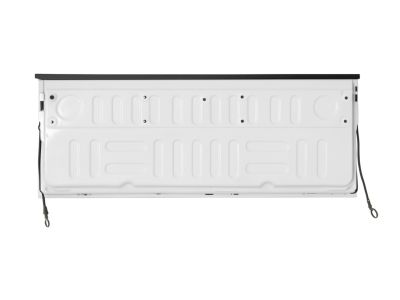 LC3Z-9940700-A LC3Z9940700A - Genuine Ford Tailgate Assembly