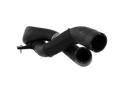 LU9Z-8260-A LU9Z8260A - Genuine Ford Radiator Hose