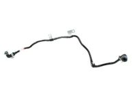 Genuine Ford F-250 Super Duty PCV Hose