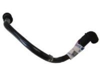 Genuine Ford Expedition PCV Hose